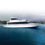 Fast Boat Transfer Sanur to Nusa Penida by Penidago - The Route and What Makes Nusa Penida Special
