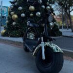 Fat Tire 2 Seater Rental in Dallas - Why It’s a Good Choice
