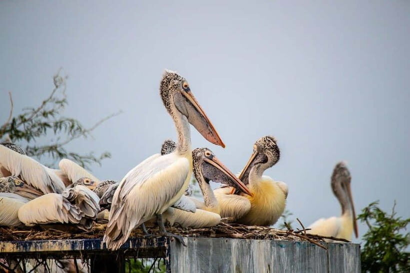 Fatehpur, Bird Sanctuary, Chand Baori Jaipur Drop From Agra - The Itinerary Breakdown