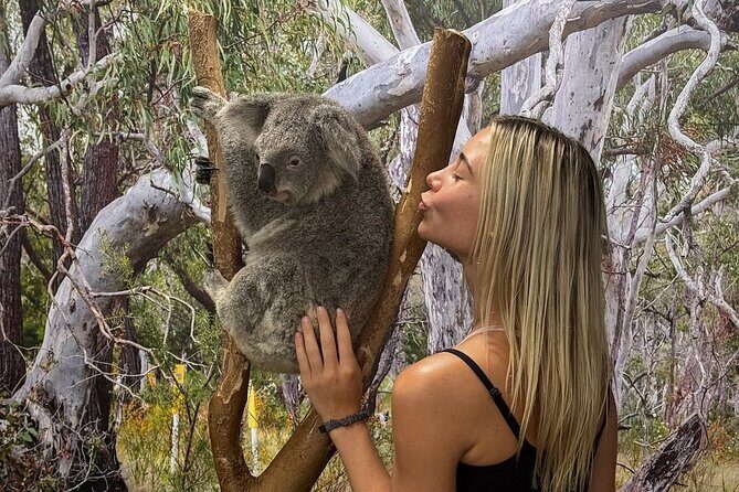 Featherdale Wildlife Park with Exclusive Private Transfers - Who will enjoy this tour?