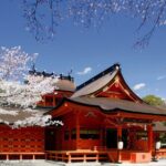 Feel Mt Fuji and Sake Tasting Private Tour from in Shizuoka - Additional Details: Logistics and Practicalities