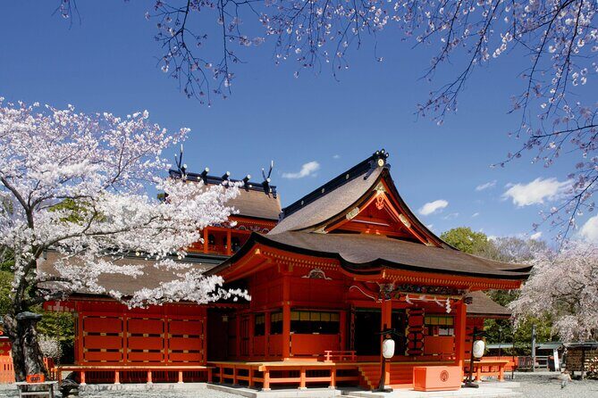 Feel Mt Fuji and Sake Tasting Private Tour from in Shizuoka - Additional Details: Logistics and Practicalities