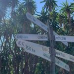Fierce Nights & Neon Lights - Kings Cross Sydney Scavenger Hunt - Authenticity and Insights from Reviews