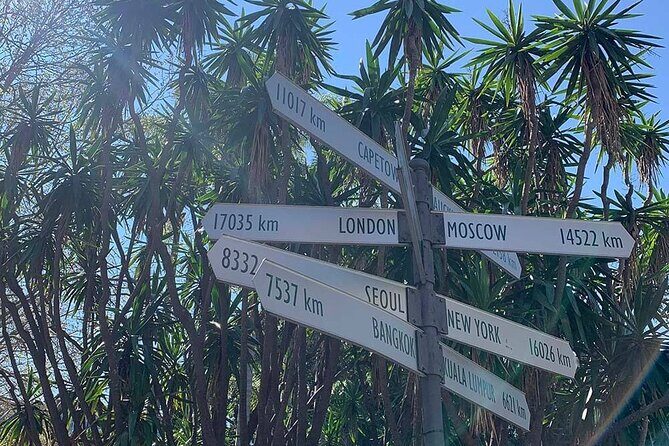 Fierce Nights & Neon Lights - Kings Cross Sydney Scavenger Hunt - Authenticity and Insights from Reviews