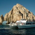 Fiesta Dinner Cruise in Cabo with Dinner - Sightings & Special Moments