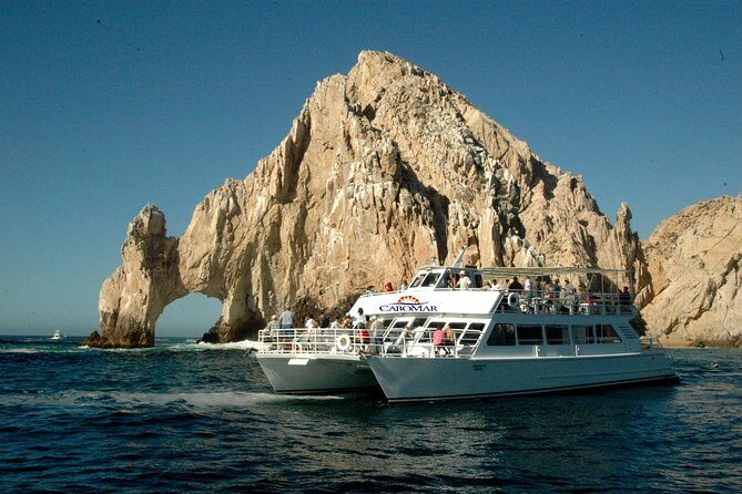 Fiesta Dinner Cruise in Cabo with Dinner - Sightings & Special Moments