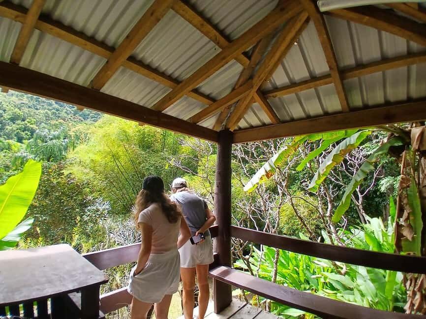 FIJI: Garden of the Sleeping Giant - The Itinerary: What to Expect During Your Visit