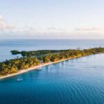 Fiji: Half-Day Island Activities Tour with Jungle Cruise - Highlights of the Tour
