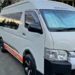 Fiji Marriot Resort to Nadi Airport Hotels & Denarau Resorts - Private Vehicle - What Sets This Transfer Apart?