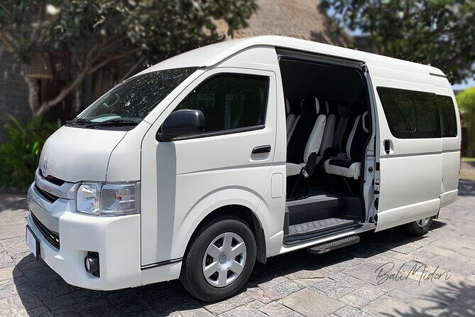Fiji Marriott Resort Momi Bay To Nadi Airport or Denarau (Departure Transfer) - What makes this service stand out?