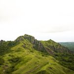 Fiji Private Helicopter Tour Sleeping Giant and Koroyanitu Heritage Park - An In-Depth Look at the Tour Experience