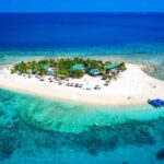 Fiji: South Sea Island Full Day Trip with Lunch & Drinks - Underwater Adventures and Wildlife