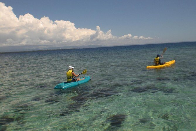 Fijian Islands and Snorkel Full-Day Whales Tale Cruise including Beach BBQ Lunch - The Beach BBQ Experience