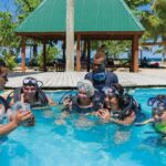 Finding Nemo - Half Day Cruise to South Sea Island - Authentic Feedback from Visitors