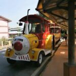 Fireflies Night Tour with Set Dinner - Why We Think This Tour Offers Strong Value