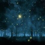 Firefly Sanctuary Tour in Puebla - Who will love this tour?