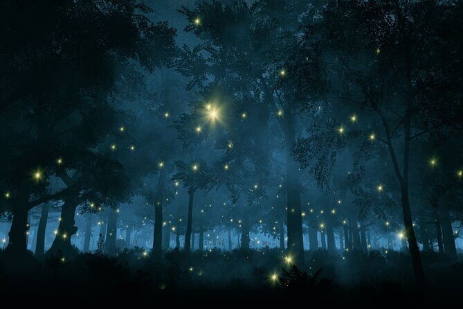 Firefly Sanctuary Tour in Puebla - Who will love this tour?