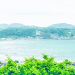 First time in Kamakura? Enjoy a Tour of All Must-sees! - Why Choose This Tour?