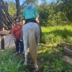 First tour schedule at San Rancho San Manuel - What to Expect from Your Horseback Riding Tour