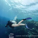 Fisheye Divers: PADI Open Water Course - What to Expect from the 3-Day Course