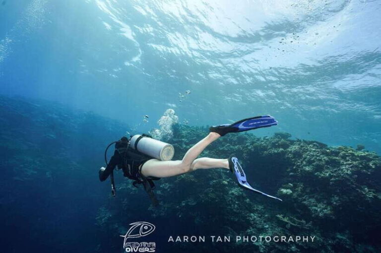 Fisheye Divers: PADI Open Water Course - What to Expect from the 3-Day Course