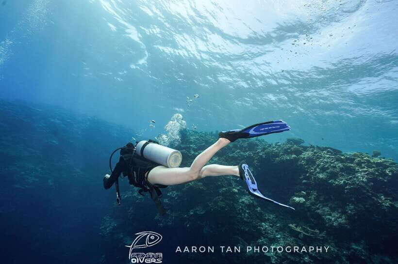 Fisheye Divers: PADI Open Water Course - What to Expect from the 3-Day Course