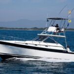 Fishing by private boat - Recent Reviews: What Actual Guests Say
