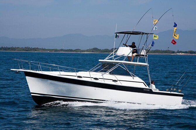 Fishing by private boat - Recent Reviews: What Actual Guests Say