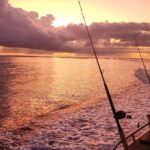 Fishing Charter in Pelican Waters - What to Expect on the Water: It’s All About the Fish & Views