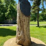 Fitzroy & Treasury Gardens Melbourne Walking Tour - Who is This Tour Best Suited For?