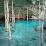 Five Cenotes Jungle Experience in the Riviera Maya - Why Travelers Love This Tour