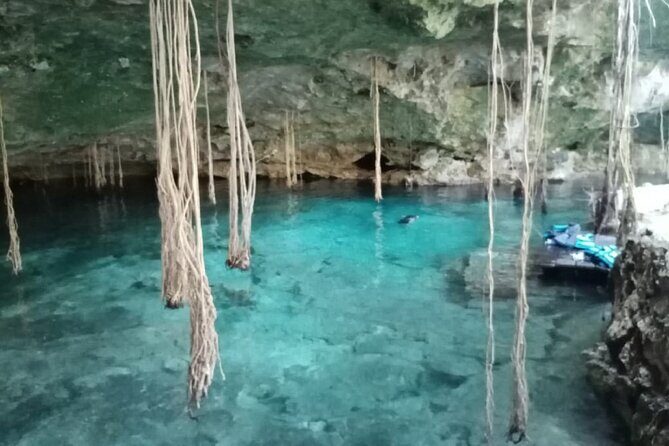 Five Cenotes Jungle Experience in the Riviera Maya - Why Travelers Love This Tour