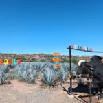 Five-star factory: Meet Orendain tequila. - Exploring the Experience: A Step-by-Step Breakdown
