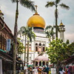 Flagship Singapore Cultural City Tour - Chinatown: A Kaleidoscope of Cultures and Sights
