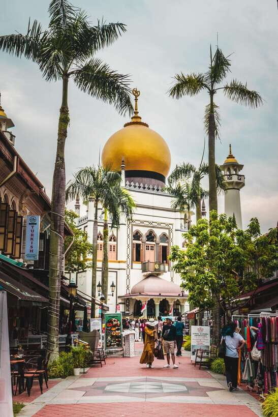 Flagship Singapore Cultural City Tour - Chinatown: A Kaleidoscope of Cultures and Sights