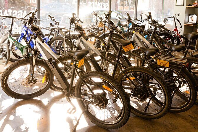 Flagstaff Electric Bike Rental - Navigating the Value and Suitability