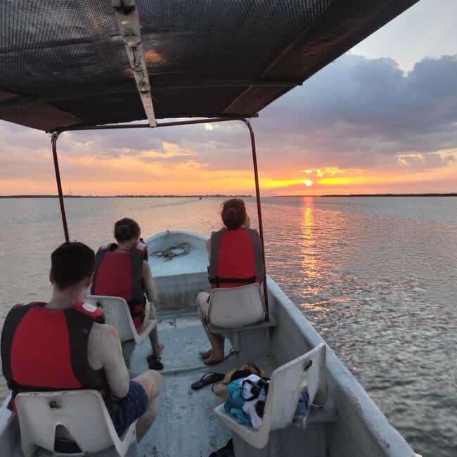 Flamingo tour Rio Lagartos, Yucatan 2 hours - Understanding the Value of the Experience