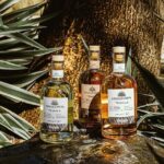 Flavors of Vallarta: A Churro, Tequila & Taco Adventure - Practical Details and Value