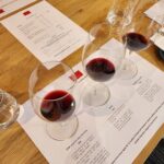 Flavours of the Barossa: Wine, Chocolate & Maggie Beer - Who Will Love This Experience?