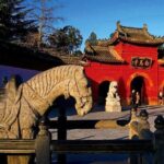 Flexible Luoyang City Highlights Private Day Tour from Xian by Bullet Train - Longmen Grottoes: A UNESCO Treasure