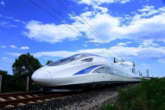 Flexible Shanghai Private Day Tour from Nanjing by Bullet Train - The Iconic Shanghai Skyline and The Bund