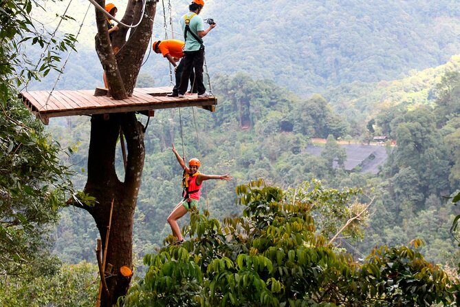 Flight of the Phoenix: Zipline Experience - Authentic Experiences from Travelers