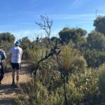 Flinders Chase Private Luxury Tour - Admirals Arch (1 hour)
