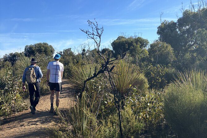 Flinders Chase Private Luxury Tour - Admirals Arch (1 hour)