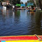 Floating Flower Gardens Of Xochimilco with a Local: Private & Personalized - Practical Tips for Making the Most of Your Tour