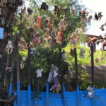 "Floating Party in Xochimilco: Canals, Tequila, and Tradition" - Itinerary Breakdown: What Makes Each Part Special