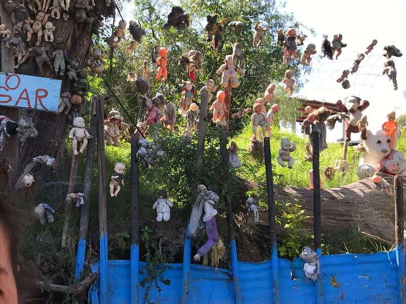"Floating Party in Xochimilco: Canals, Tequila, and Tradition" - Itinerary Breakdown: What Makes Each Part Special