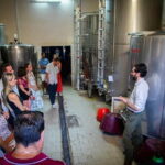 Florence: Siena & San Gimignano with Dinner in a Boutique Winery - The Logistics and Comfort