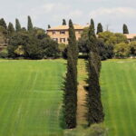Florence to Ferrari Museum then lunch in a Medieval Castle - Lunch in a Medieval Castle: Authentic and Atmosphere-filled