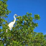 Florida Keys Kayak And Paddleboard Rentals - Detailed Itinerary and Experience Breakdown